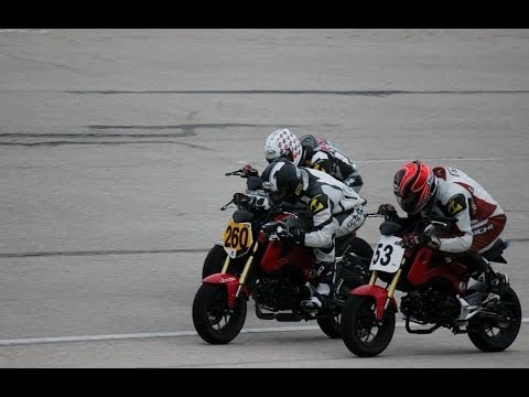 Video: Honda Grom Racing is the Best Thing Ever - Footage From the ...