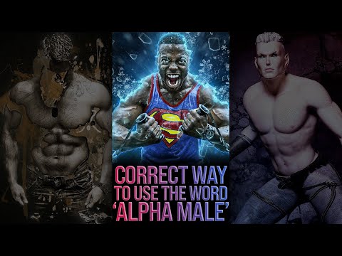 Correct Way to Use ‘Alpha Male’ 💪 #shorts