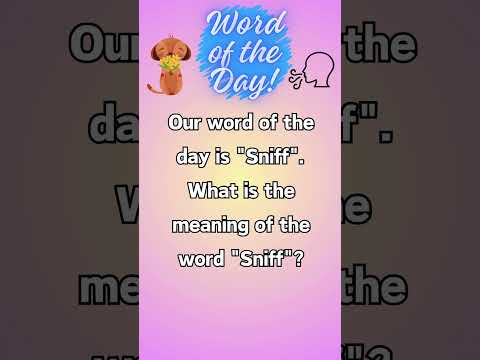 What's that smell? Let's "sniff" the scent of learning! #wordoftheday #learnEnglish #vocabulary