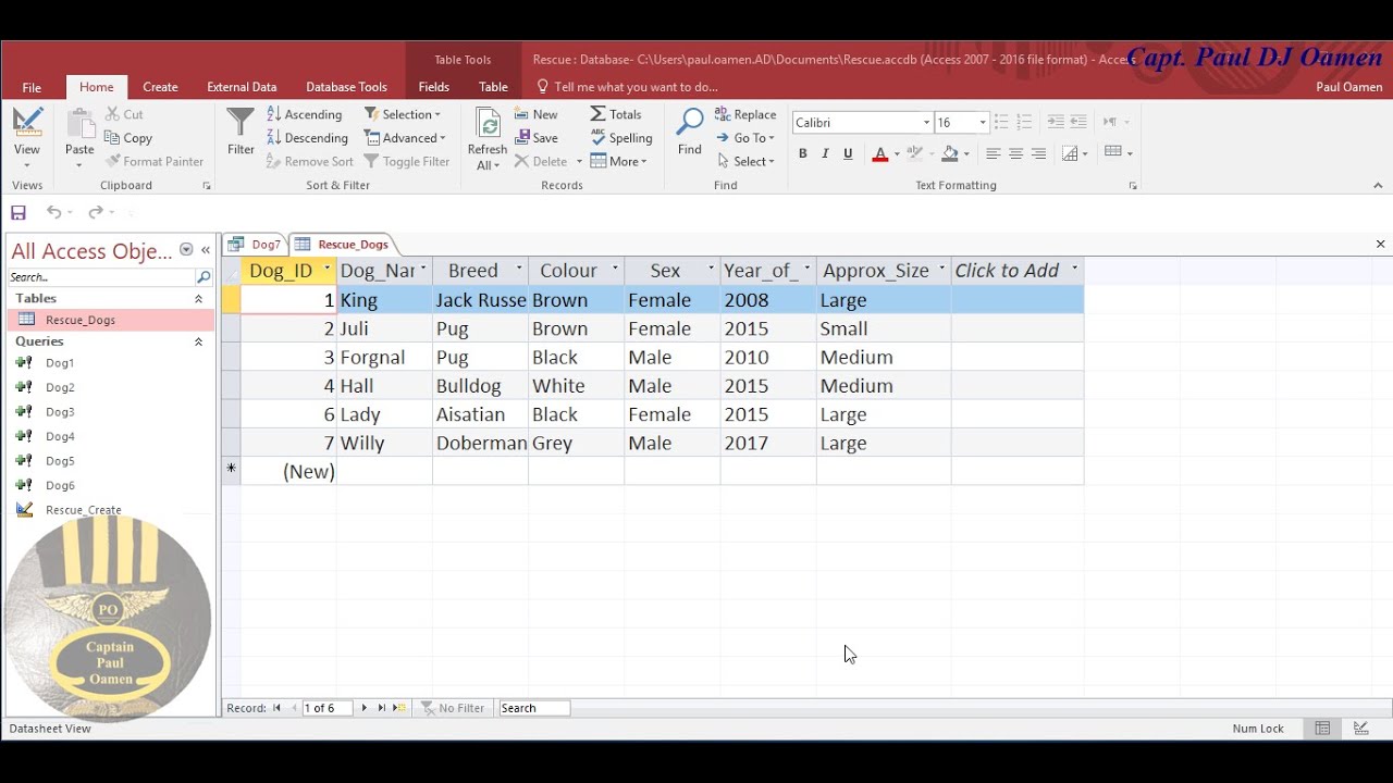 Using SQL Select Command in Microsoft  Access