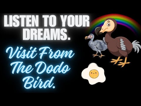 The DoDo Bird Meaning - Listen To Your Dreams - Messages From the Other Side & The Universal Library