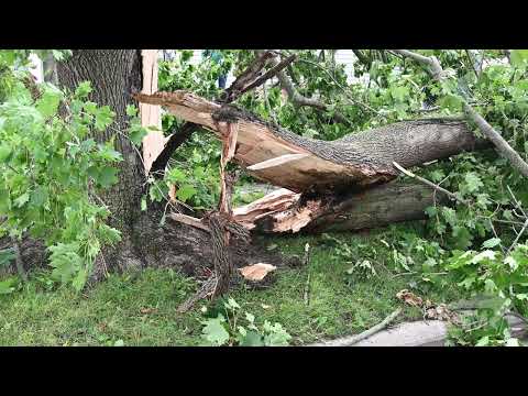07-29-2023 West Salem, WI - Storm Damge