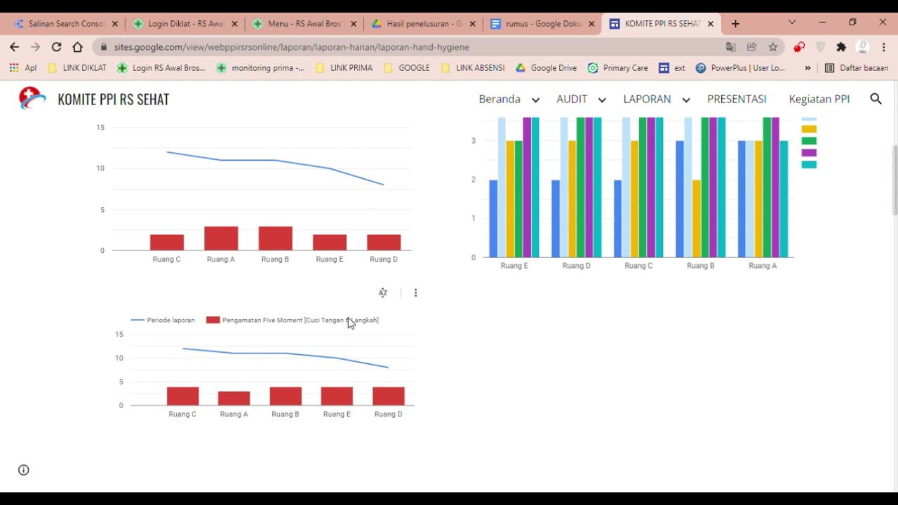 Bentuk laporan audit PPi di Web