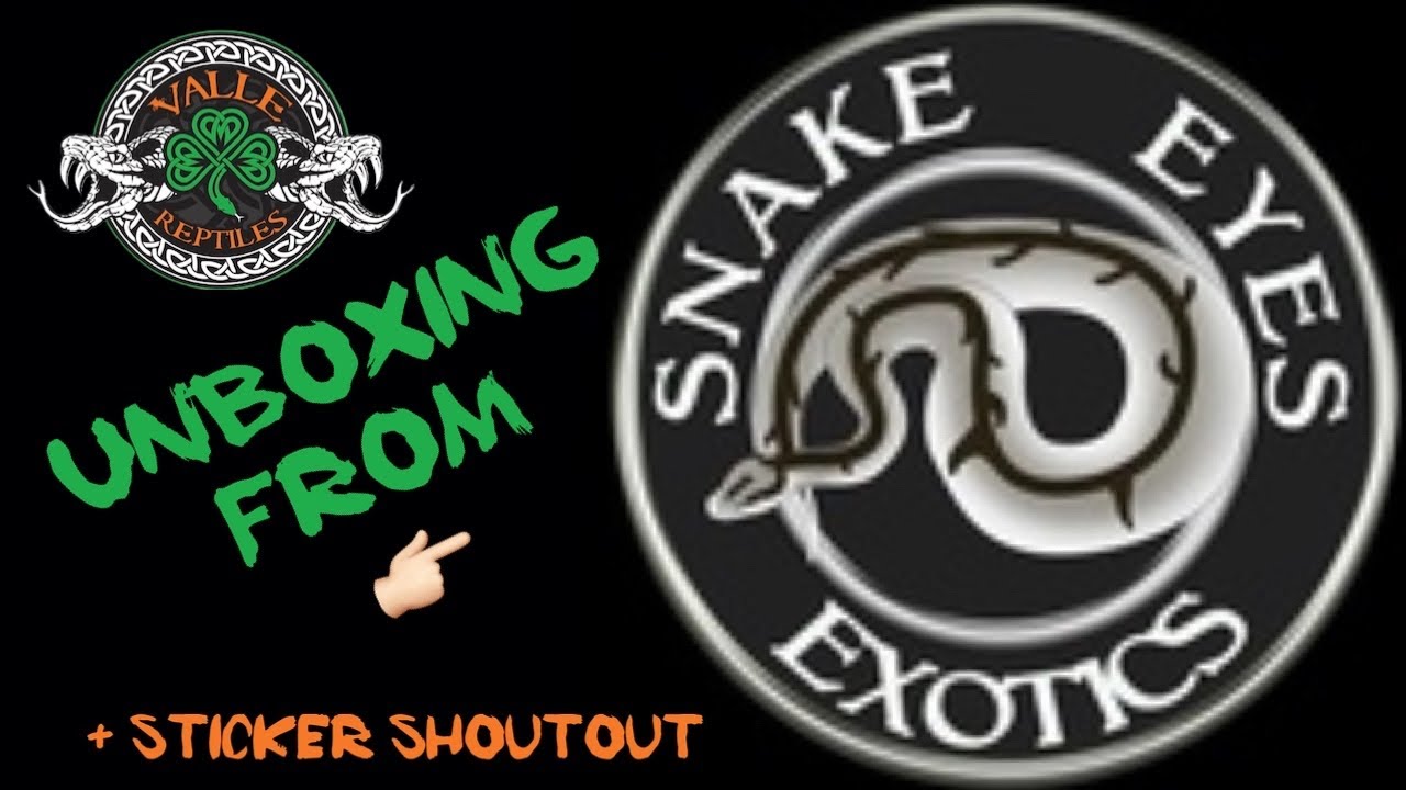 Ball Python Unboxing and Stickers