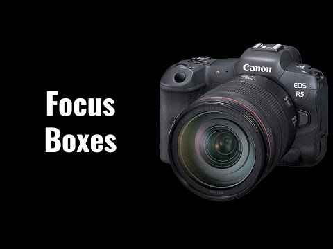 Canon R5 & R6: Autofocus boxes (4147C002)