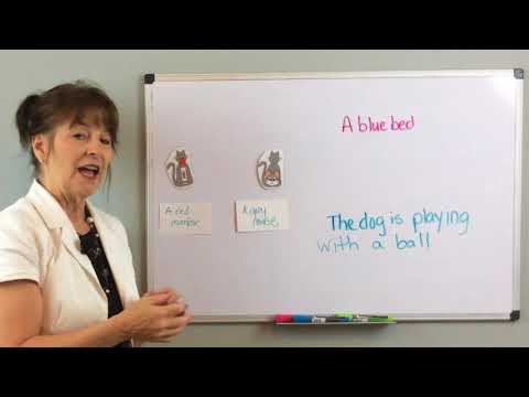 The Best Reading Program for Students Who Need a Whole Word Approach!