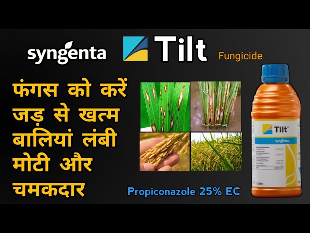 Agriculture Fungicide - Shine Star Propiconazole 25% Ec Fungicide ...