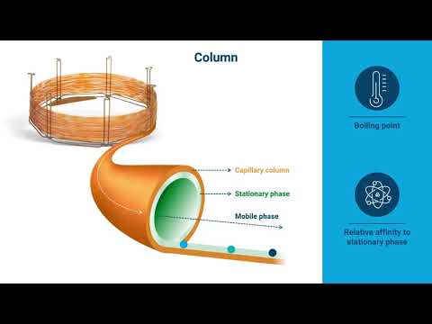 Gas Chromatography_Basics of GC instrumentation and operation.