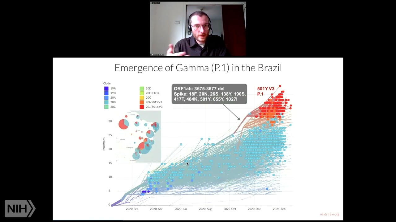 Evolutionary Dynamics of SARS-CoV-2
