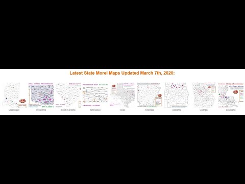 Member Maps including State Morel Progression Maps