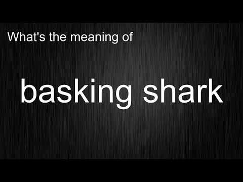 What's the meaning of "basking shark", How to pronounce basking shark?