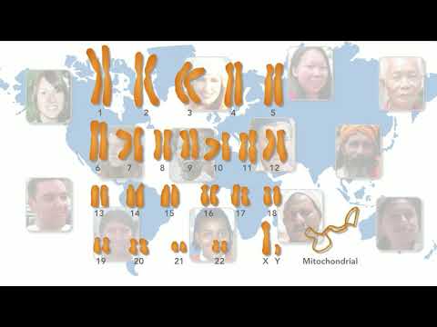 Mutation and Haplotype