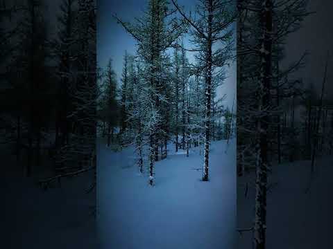 Eastern European Winter #nature #easterneurope