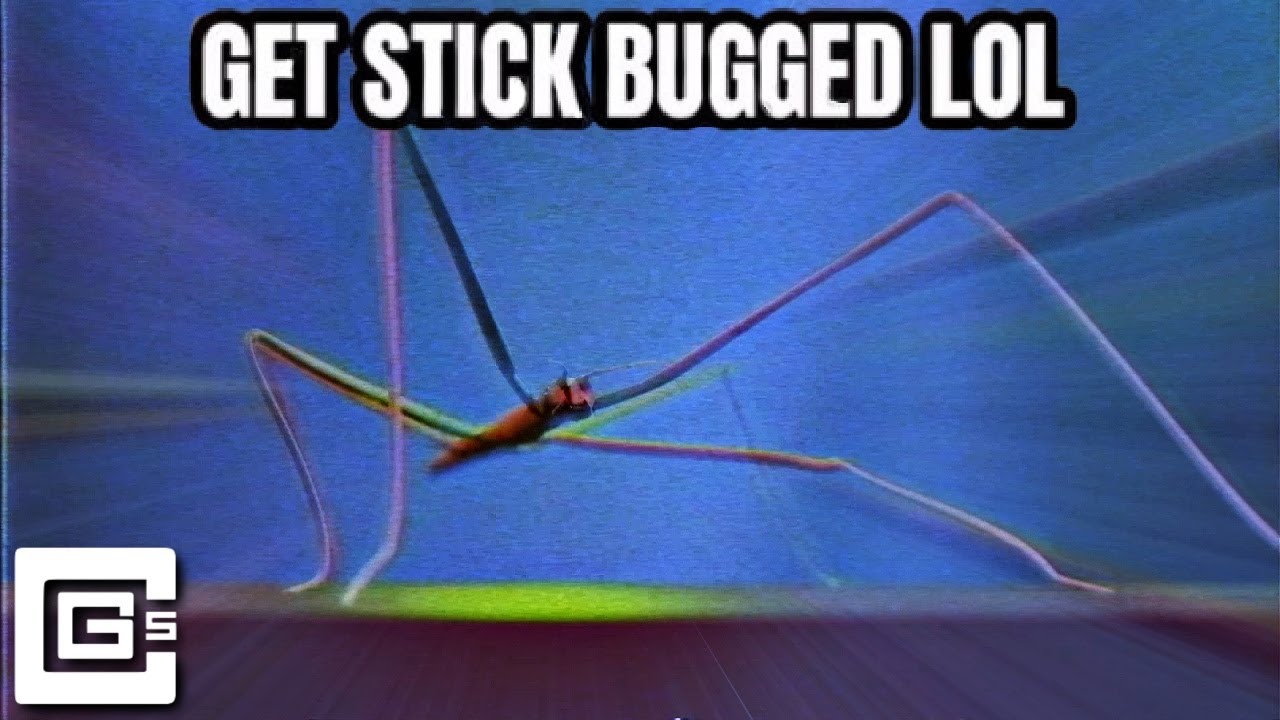 get stickbugged lol but it's a remix