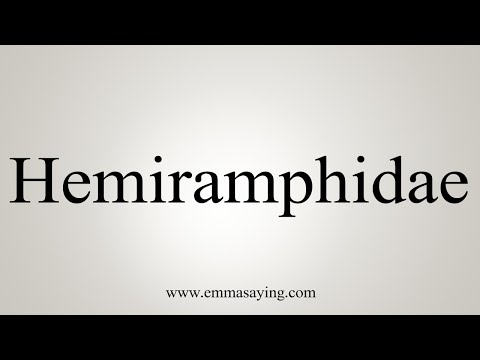 How To Say Hemiramphidae
