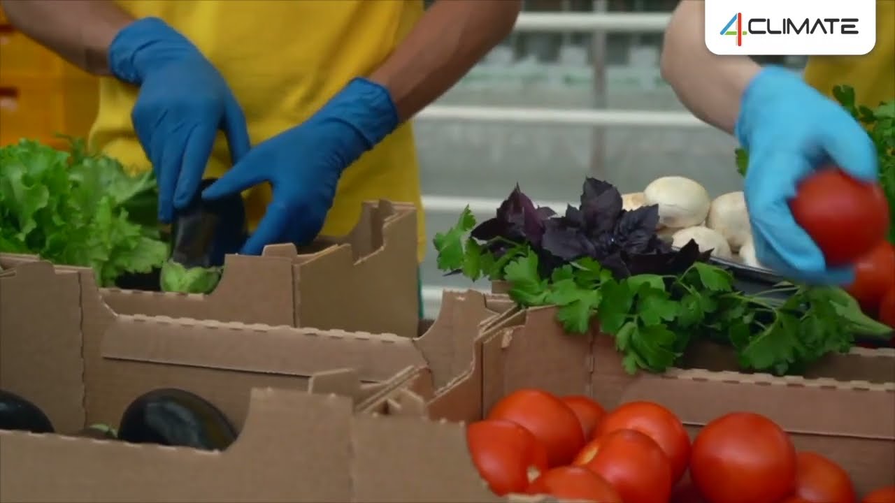 4CLIMATE | NATUREX AI TECHNOLOGIES | F6S