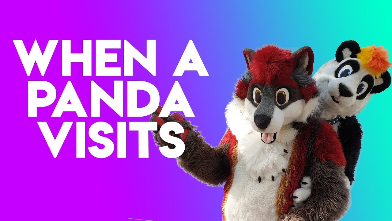 When a PANDA FURRY visits