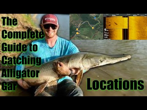 Where to Find ALLIGATOR GAR: google earth, side imaging and on the river