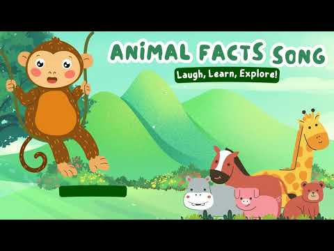 Amazing Animal Facts for Kids 🐳🦁 Real Animal Videos & Fun song, Learn About Animals #Panda #zoo