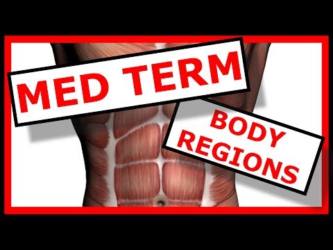 Medical Terminology Crash Course: Body Region Based Muscle Terms