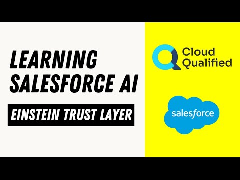 Einstein Trust Layer