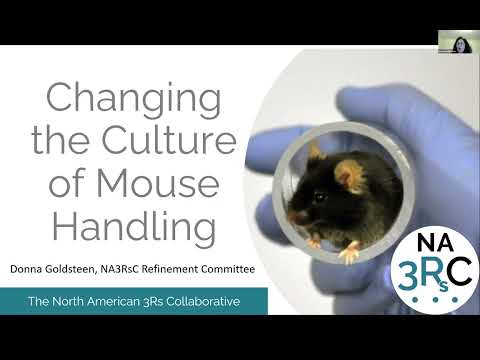 Refined Handling for Mice