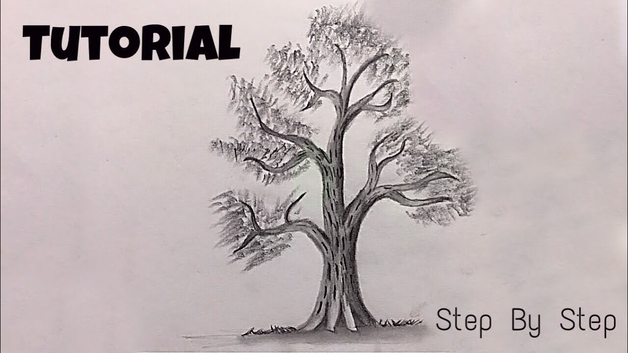 Learn To Draw A Realistic Tree Under 5 Minutes | Tutorial | Step By Step | Arts Core
