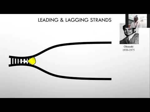 Replication PPT & Video
