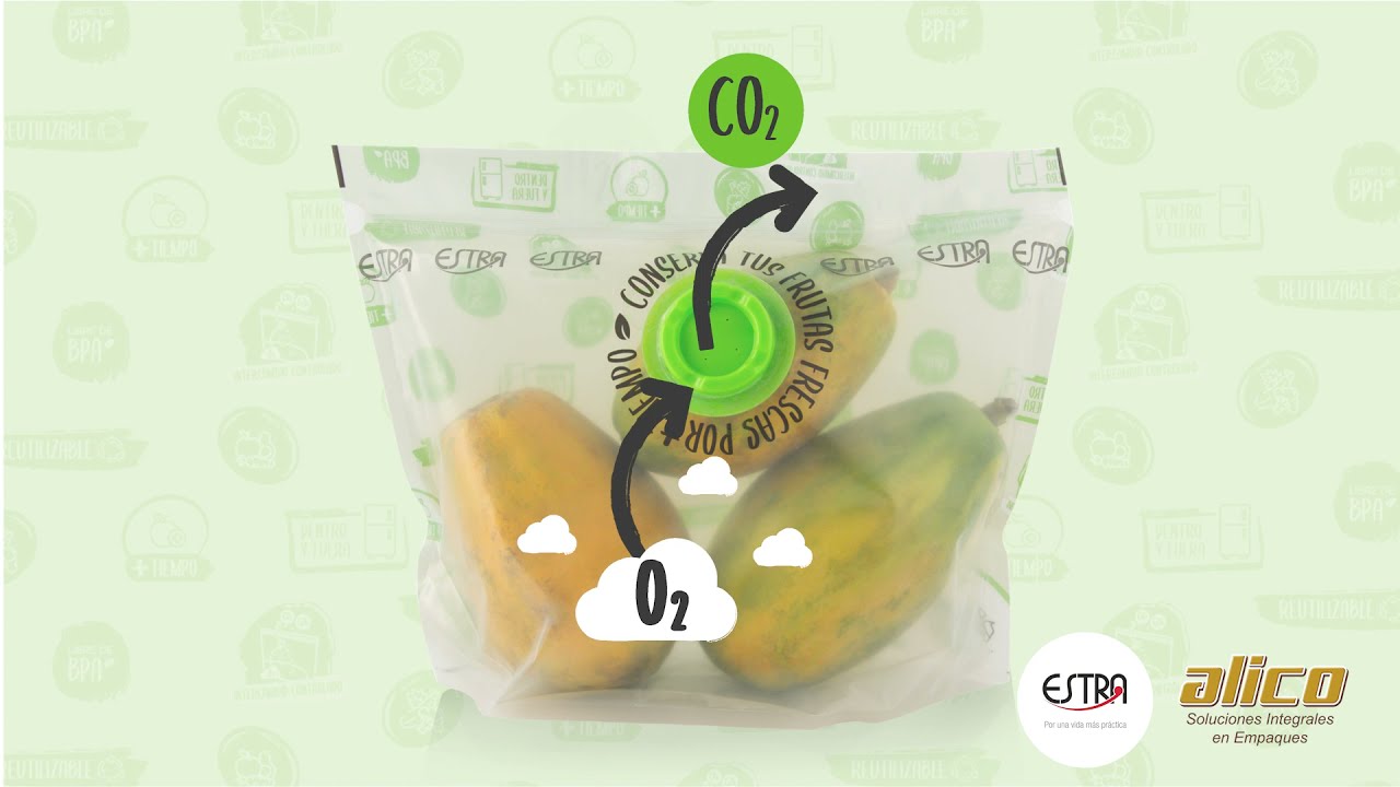 ESTRAPACKS - ESTRA -ALICO