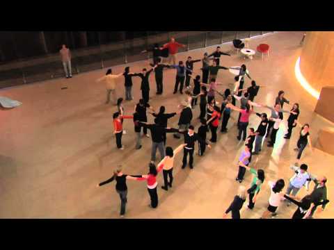 Princeton's Flock Logic: uniting science and dance