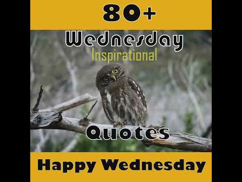Wednesday inspirational quotes | Quotes about Wednesday | Wednesday Inspiration #short