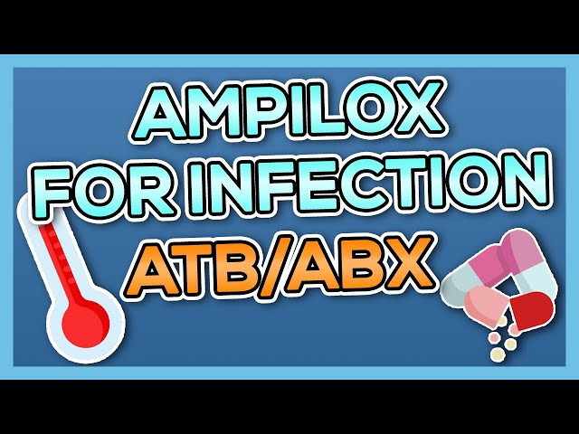 Antibiotic Medicines - C One 500mg Injection Service Provider from Nagpur