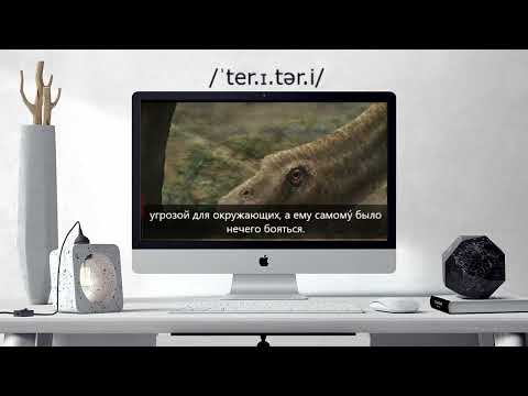 How to pronounce TERRITORY | TERRITORY Learn English and British Pronunciation
