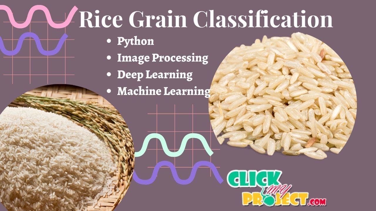 Python Image Processing Project - Rice Classification Using Machine Learning - ClickMyProject