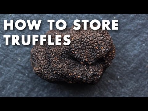How to Store Fresh Truffles - Technique Video