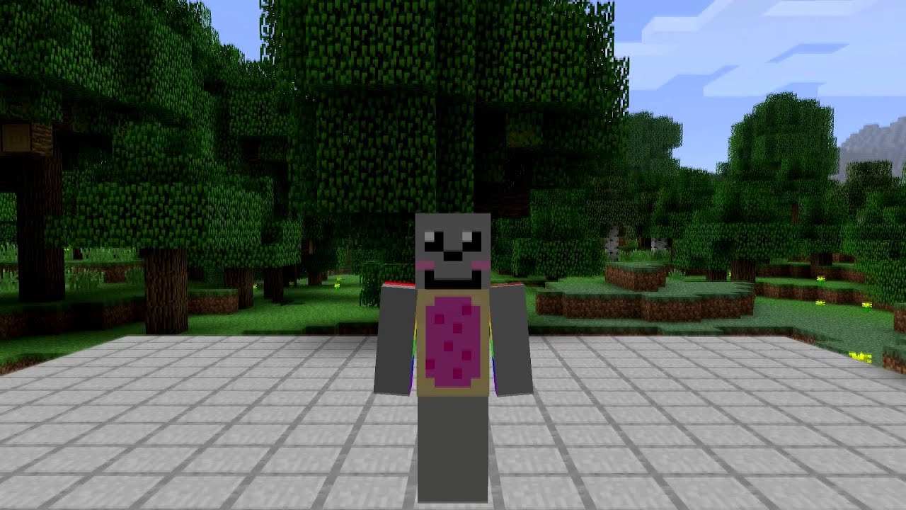 Nyan Cat Minecraft Skin Spotlight
