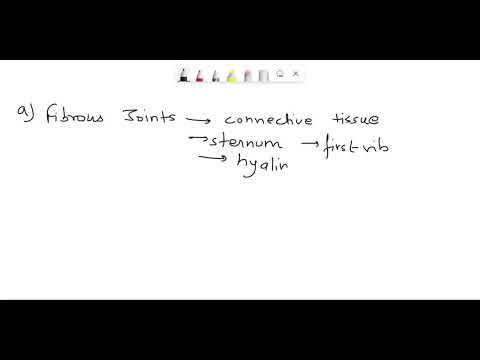 Drag the labels onto the diagram to identify the different types of fibrous and cartilaginous joint…