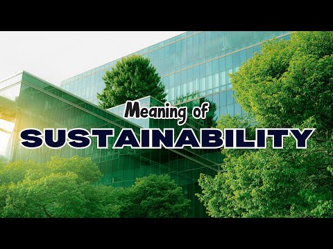 What is the meaning of Sustainability?