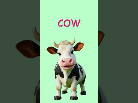 "Learn the word Cow in English! 🐄 " #englishforkids #kidslearning #learnenglish #cow