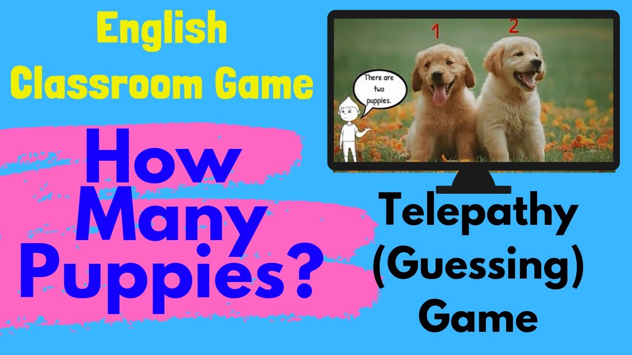 How Many? | ESL Game About Numbers