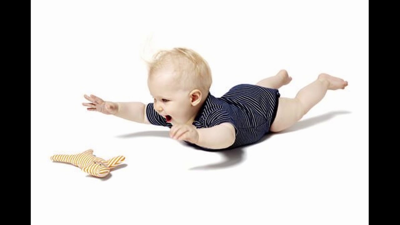 Righting and Protective Reflexes Part 2