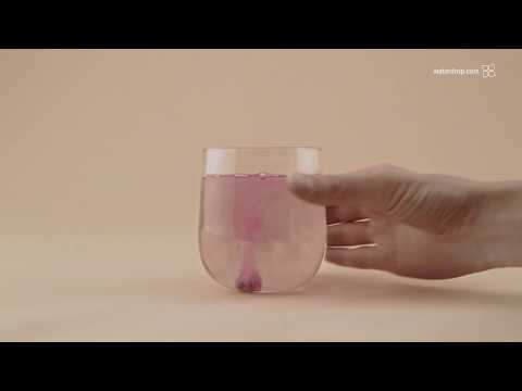 Drink More Water with waterdrop®