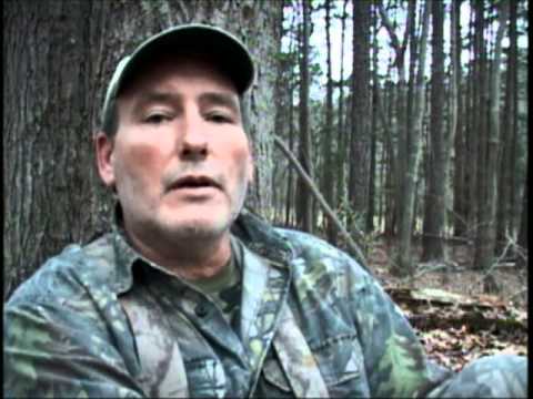 How to Hunt Turkeys - Early Season Tactics
