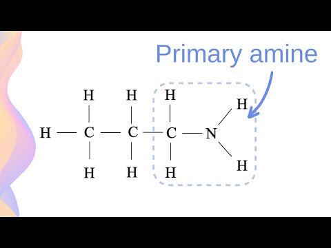 Amines: Organic Bases, Boiling Point and Solubility in Water // HSC Chemistry