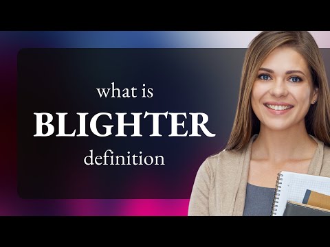 Blighter — what is BLIGHTER definition