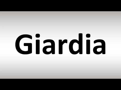 How to Pronounce Giardia