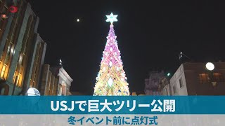 USJで巨大ツリー公開 冬イベント前に点灯式|47NEWS（よんななニュース）