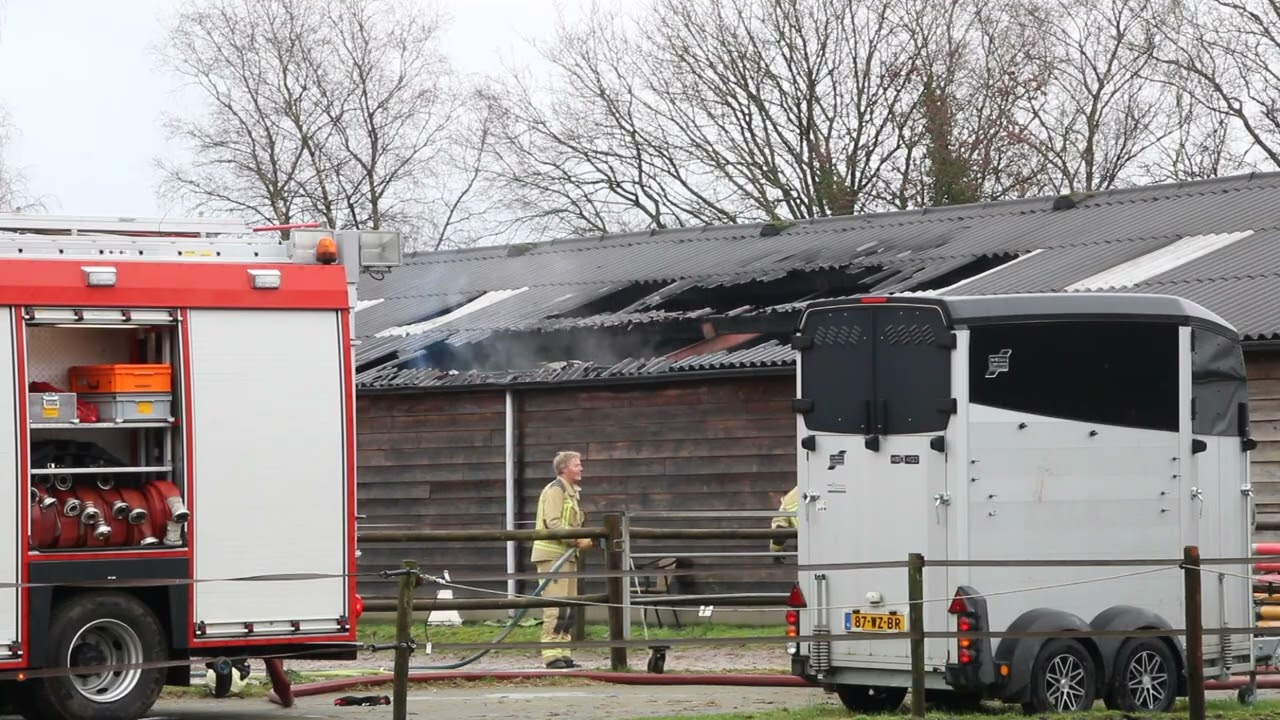 Paarden gered bij stalbrand Schoonloo(Video)