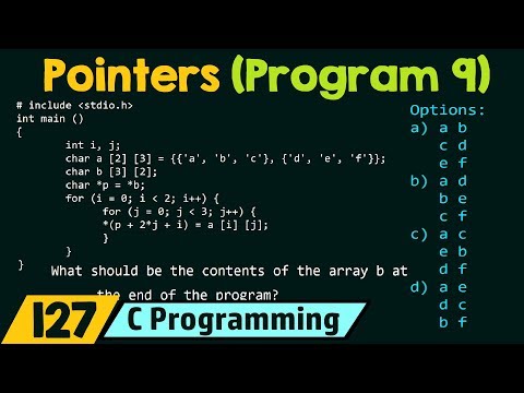 Learn Pointers Program 9 - Mind Luster