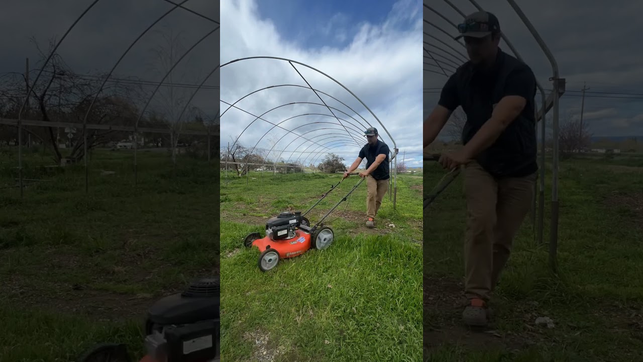Prepping for ground cover on the nursery greenhouse! #farm #nursery #propagation #veggies #shorts